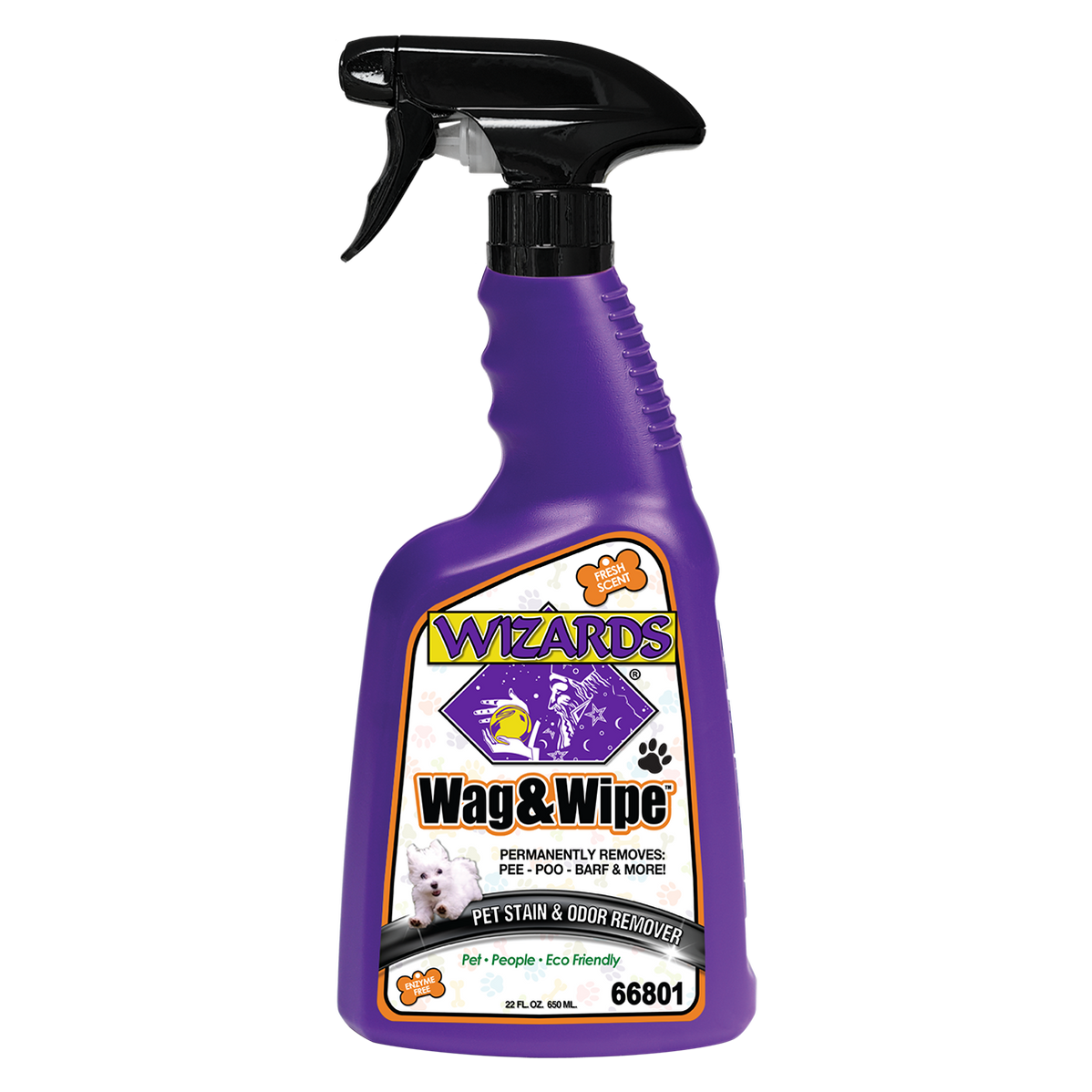 Interior Clean & Detail — Wizards Products